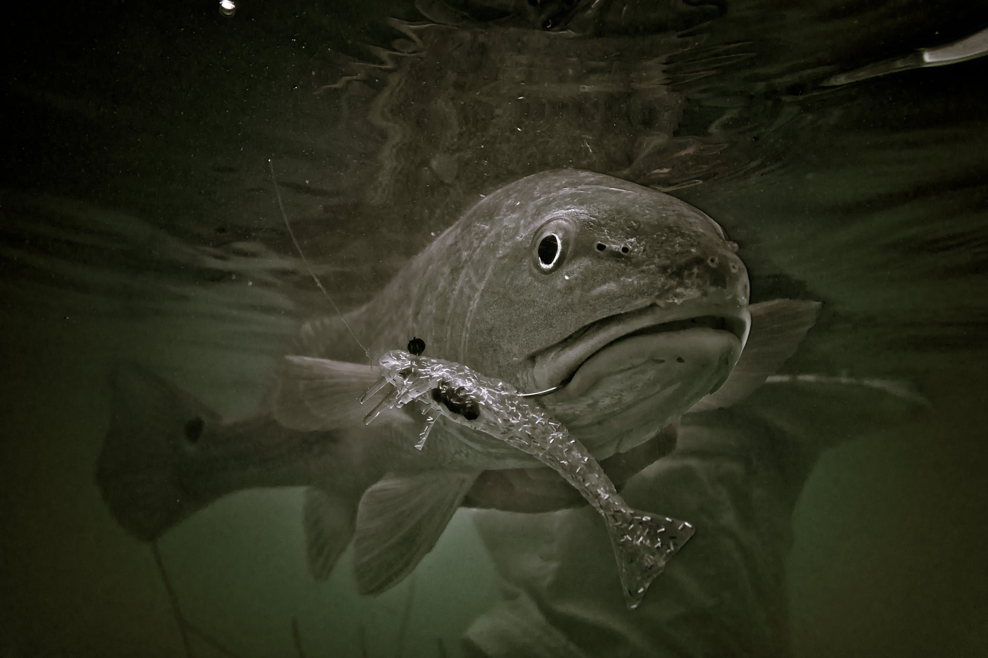 Made in USA Fishing Lures | Saltwater & Freshwater Soft Plastics – DOA ...